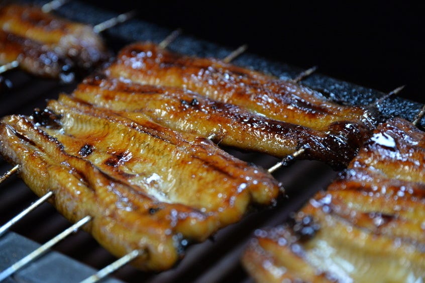 Hamamatsu | Shizuoka Attractions | Travel Japan | JNTO