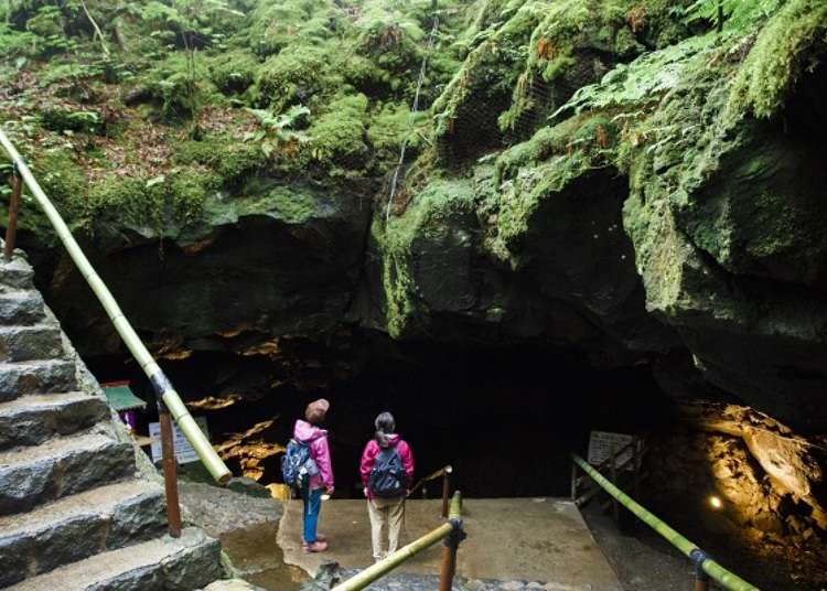 Mysterious Mount Fuji: Exploring Aokigahara and its Caves - LIVE JAPAN ...