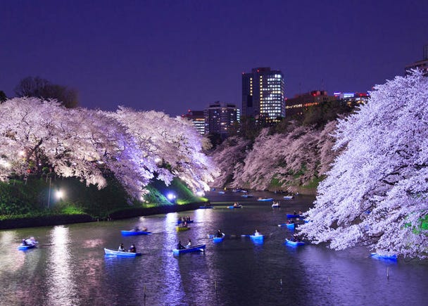 All About Hanami: How Japanese Enjoy Sakura Viewing | LIVE JAPAN travel ...