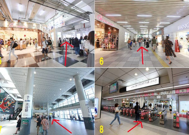 The Complete Guide to Shibuya Station | LIVE JAPAN travel guide