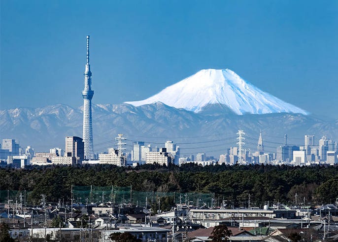 tokyo tower and skytree difference