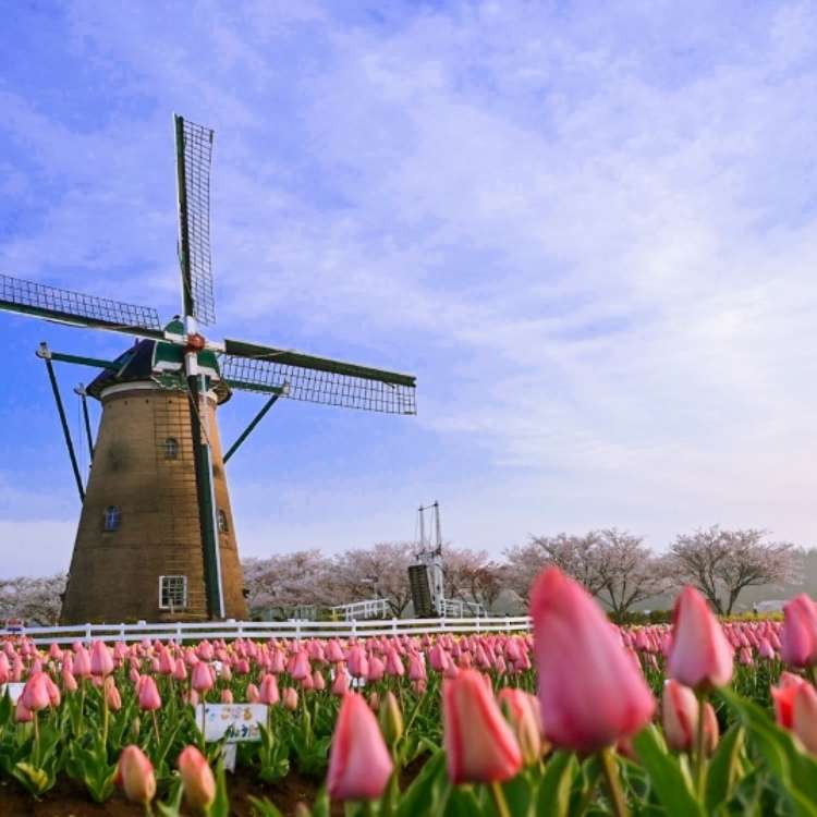 Lake Inba (Narita|Other Nature) - LIVE JAPAN (Japanese travel ...