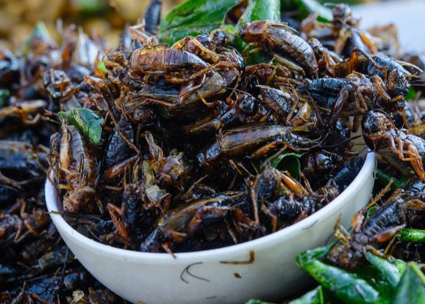 18 Strange Japanese Foods That Are Actually Pretty Good! | LIVE JAPAN ...