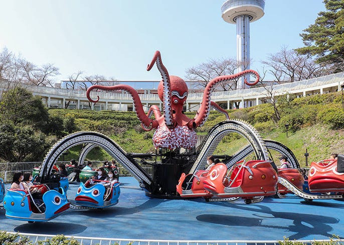 how to make octopus ride