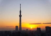 Best Things to Do in Tokyo in January 2024: Events and Festivals ...
