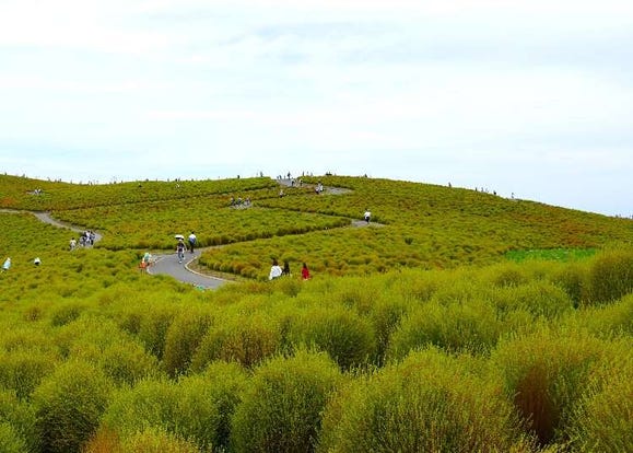 Kayaba Coffee: An Old-Fashioned Japanese 'Kissaten' Coffee Shop with ...