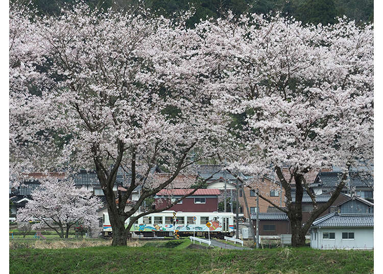 Travel Back in Time: Discover Wakasa Station's Steam Locomotive ...