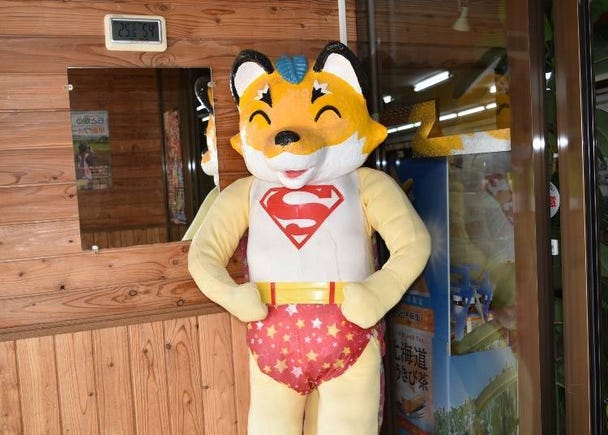 Adorable Hokkaido Fox Village! Inside Guide to the Kitakitsune Fox Farm ...