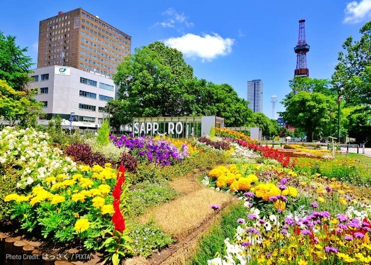 Fun Things to Do in Sapporo in Summer (June/July/August) - Events ...