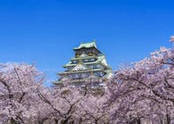 Visiting Osaka in Winter: Ultimate Guide to Osaka Weather in Winter and ...