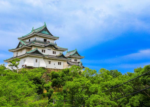 From Kansai to Namba! Nankai Electric Railway Sightseeing Guide | LIVE ...