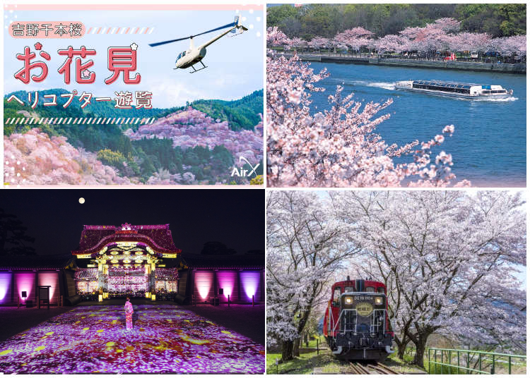 6 Cool Cherry Blossom Tours in Kansai (Osaka/Kyoto) - No More 'Boring ...