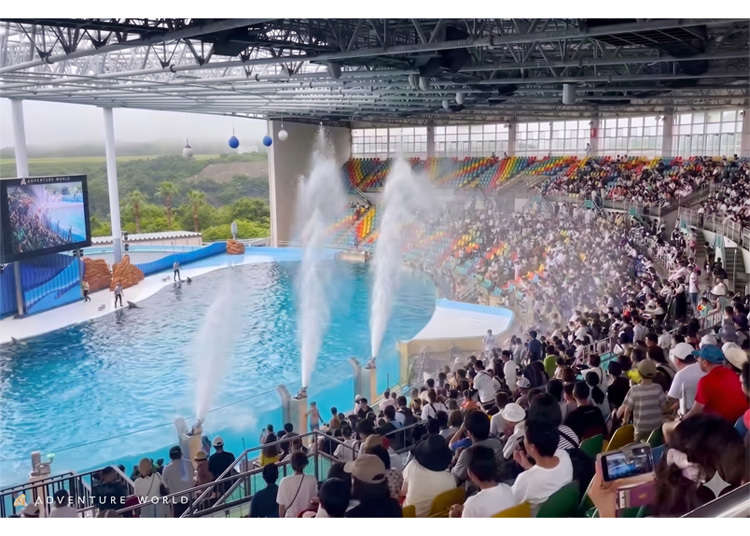 2026 Wakayama Summer Must-Visit! Adventure World's Limited-Time Penguin ...