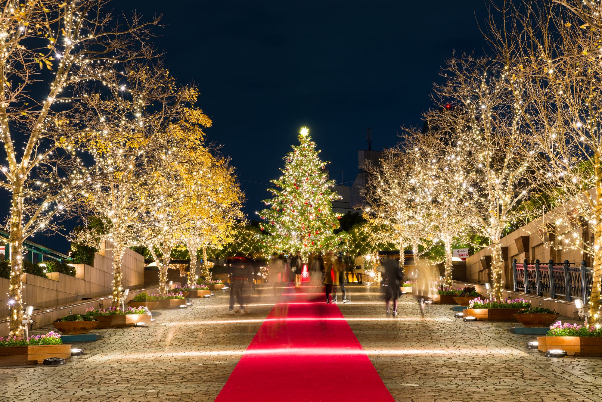 Book now! Hotels for a luxury Christmas stay in Japan