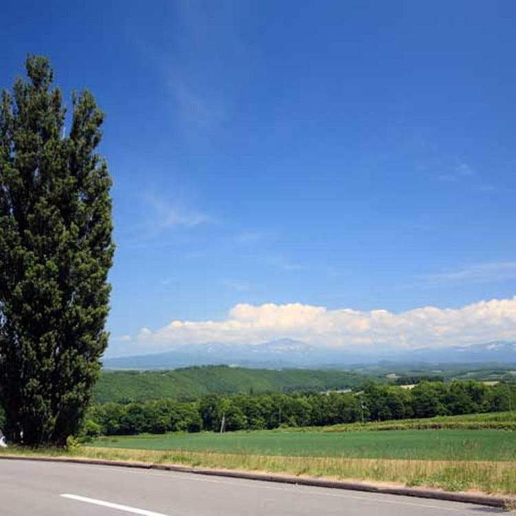 Ken & Merry Tree (Furano / Biei / Sounkyo|Landscapes) map and ...