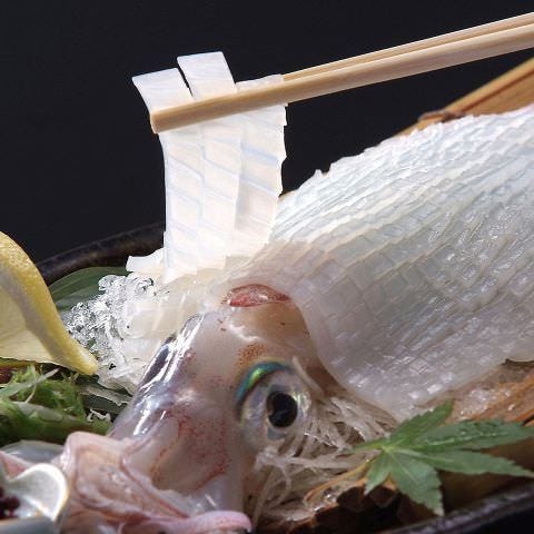 創作料理居酒屋 銀の月 博多駅前店 - 居酒屋