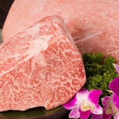 Joetsu | Niigata | Hokuriku Shinetsu | Destinations | Travel Japan ...